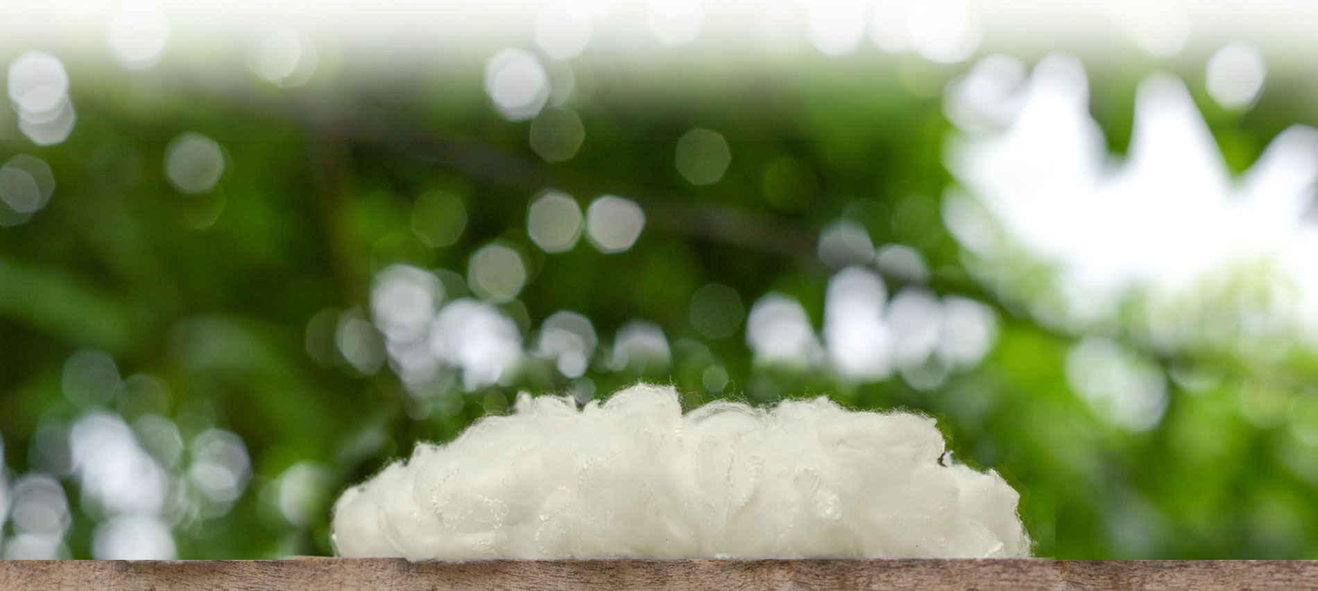 Production Process of RPET Fiber / Dacron - PT. Hadtex